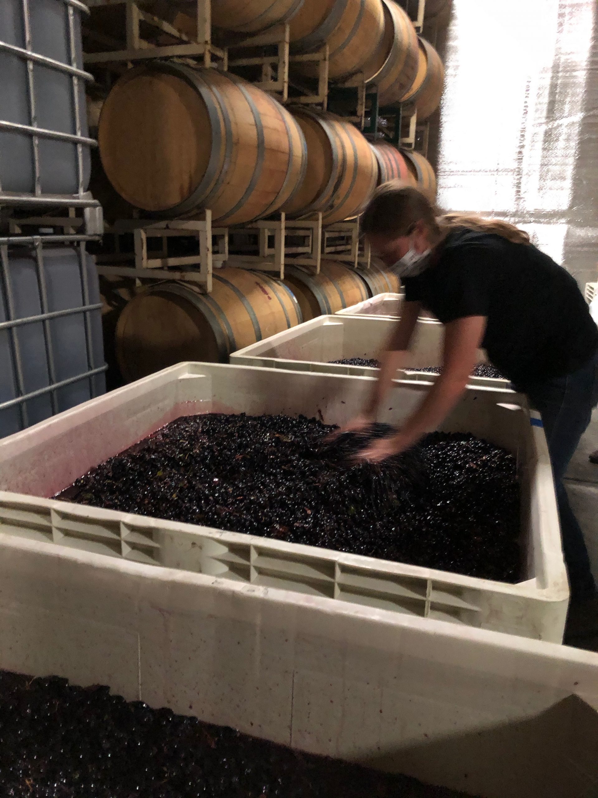 Jeremy Wine Co - Jeremy Wine Company